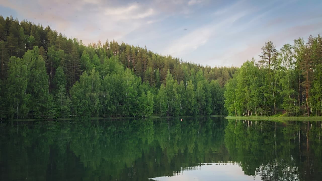 Viaje a Kitee - Vive Finlandia